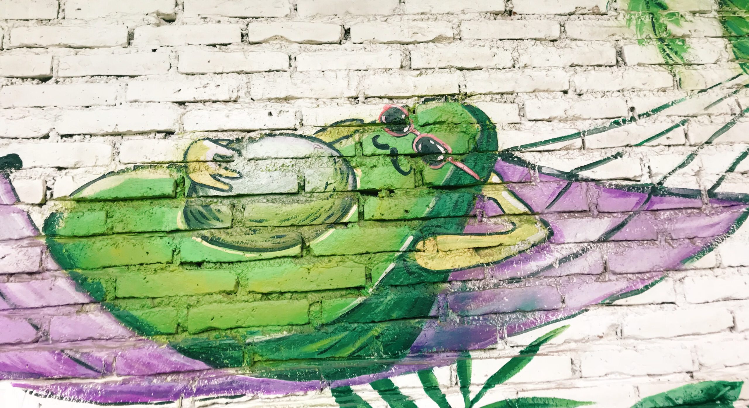 3 outrageous stories and tales of the infamous Avocado - Hippie Snacks